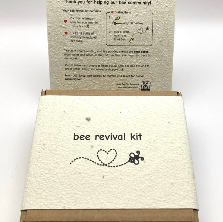 Bee Revival Kit - Folksy