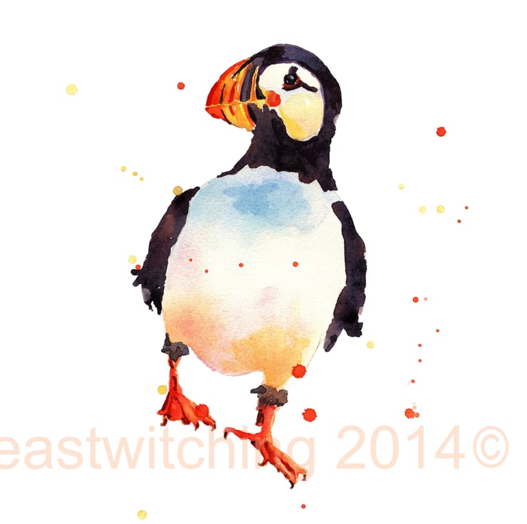 Fresh WATERCOLOUR Puffin art print - 8x10 inches - Folksy