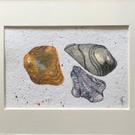 Pebbles and Shell watercolour art - Folksy