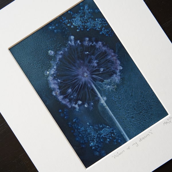 original wet cyanotype print entitled "All... - Folksy