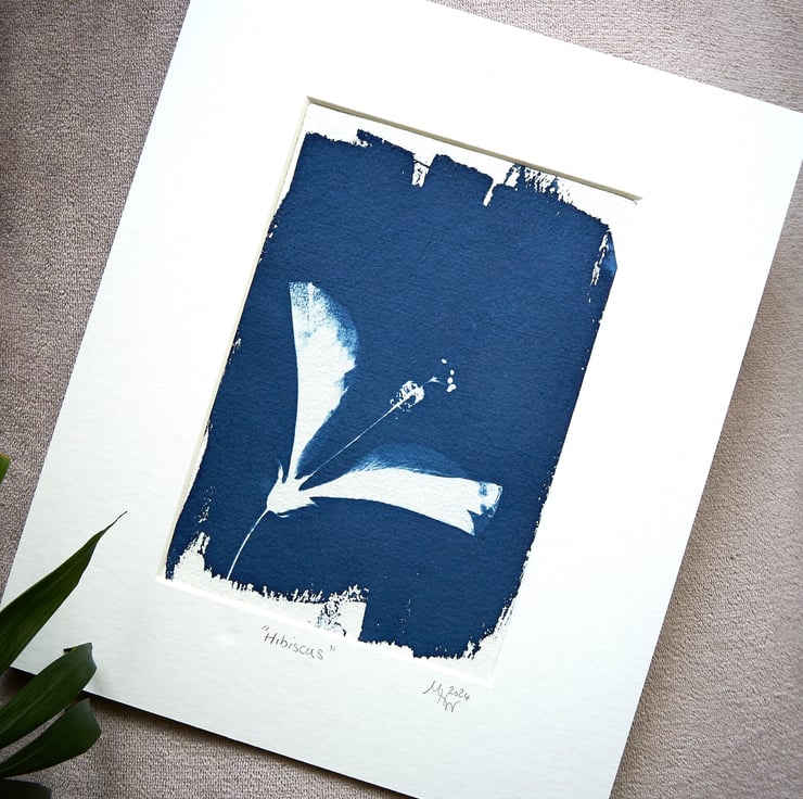 cyanotype print: "Hibiscus". Original... - Folksy