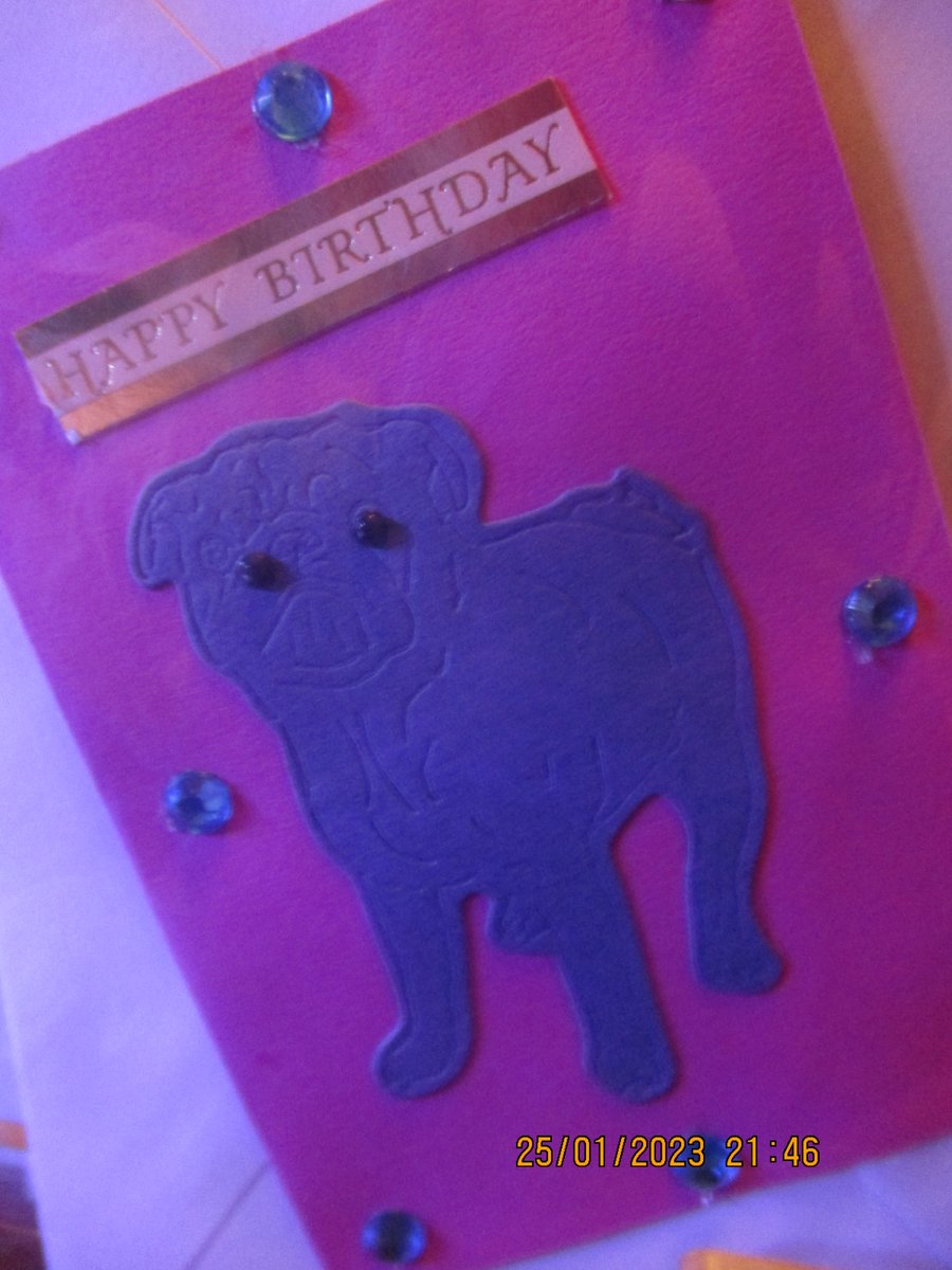 Happy Birthday Small Dog Card - Folksy