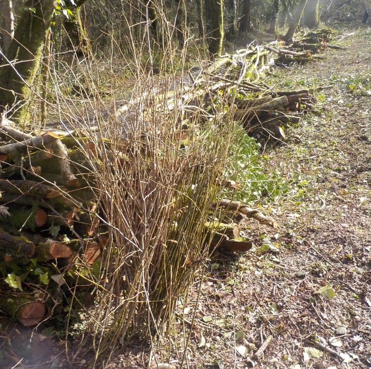 Rustic Alveary bee-hive woven willow hazel (pre... - Folksy