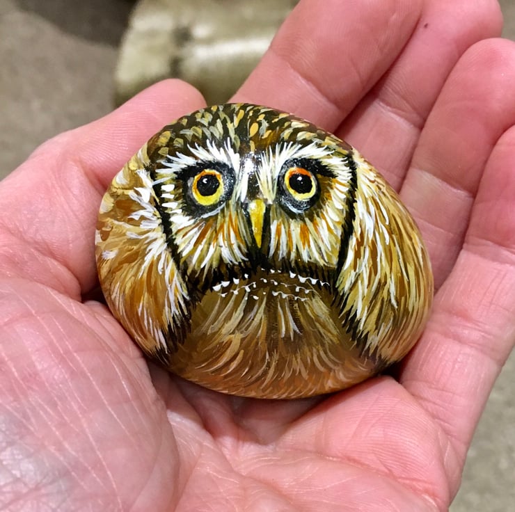 Owl hand painted pebble garden rock art wildlif... - Folksy