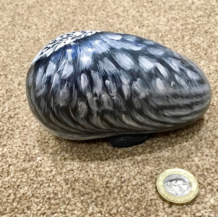 African grey parrot painted pebble garden rock ... - Folksy