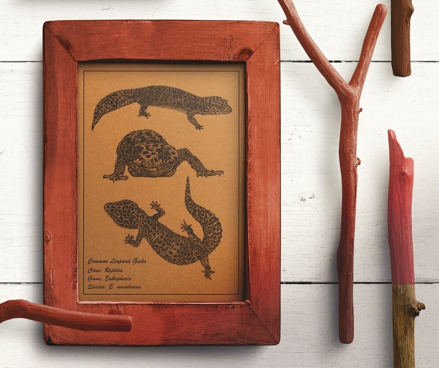 Common Leopard Gecko A4 Limited Edition Signed ... - Folksy