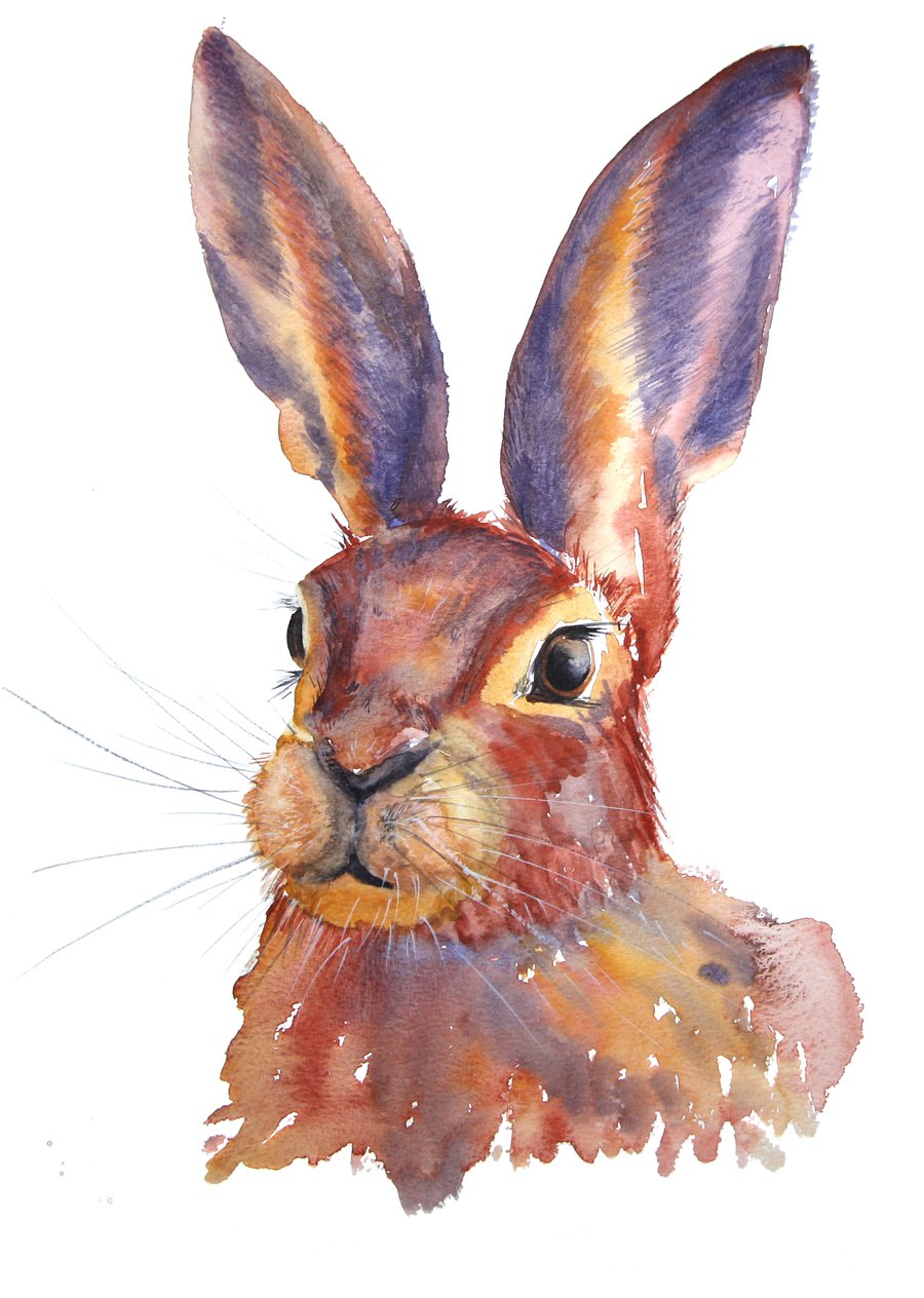 Hare portrait, A3 giclée print - Folksy