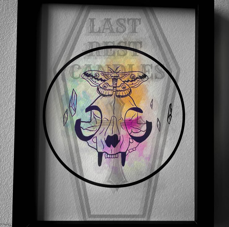 GOTHIC WATERCOLOUR CAT SKULL PRINT - Folksy