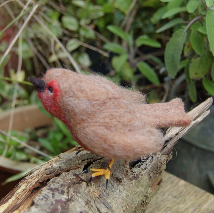 Needle Felt Robin - wool textile art - Folksy