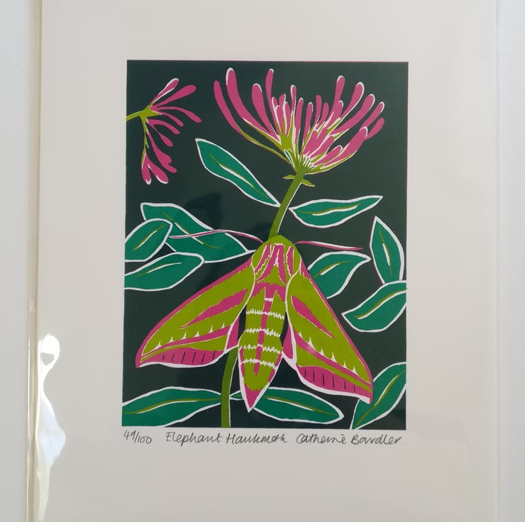 Elephant Hawkmoth screenprint - Folksy