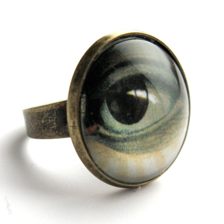 Vintage Eye Ring - Folksy