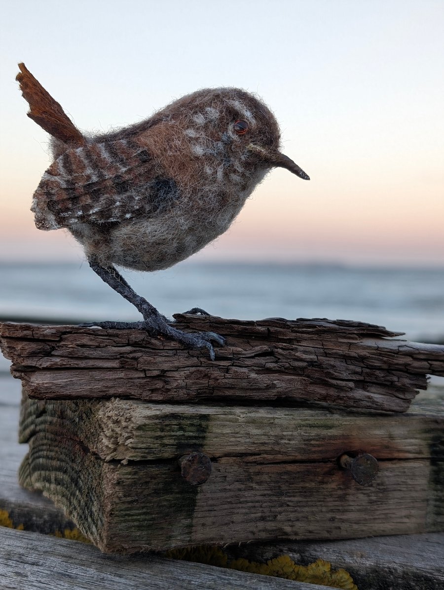 Wren on Whitstable Beach Driftwood - Folksy