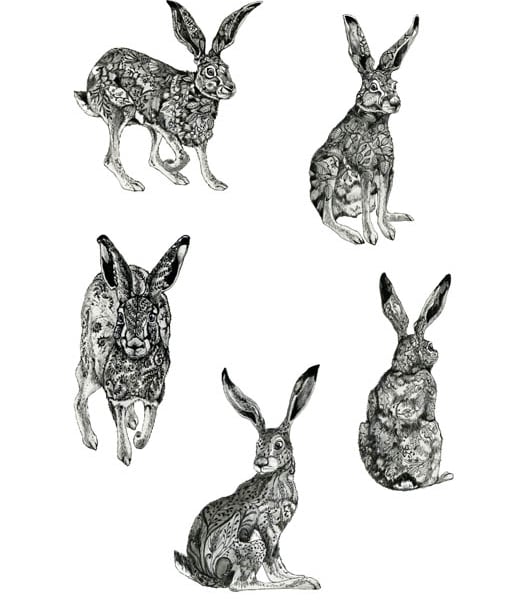 Hare Collection A4 Giclee print illustration Va... - Folksy