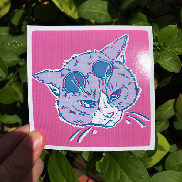 Grumpy Cat Die Cut Sticker - Folksy