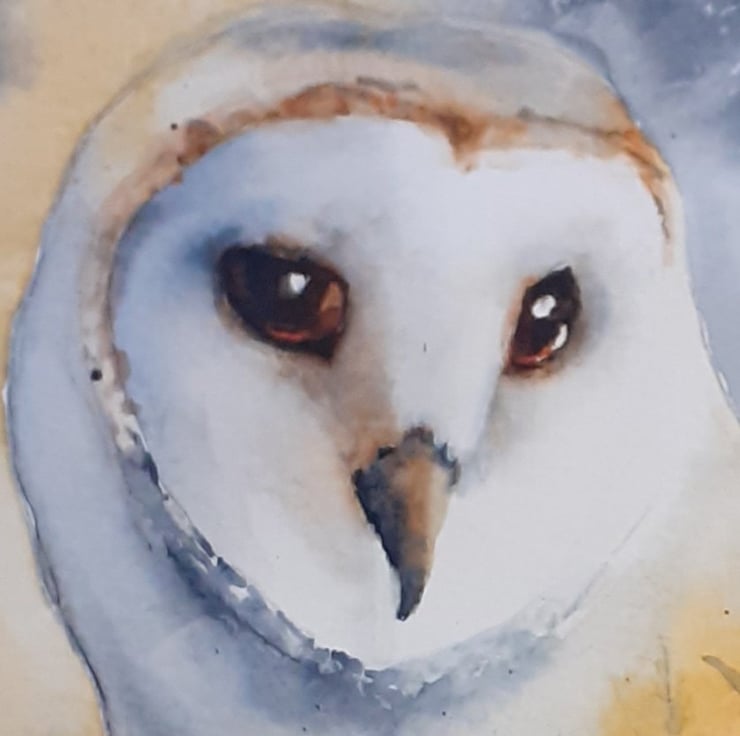 Barn Owl - limited edition print - Folksy