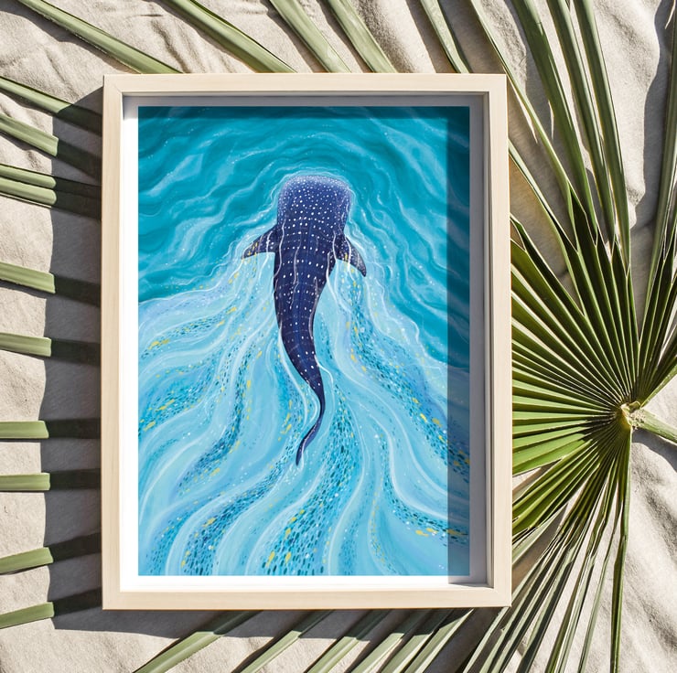 Whale Shark Art Print A3 - Folksy