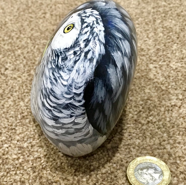 African grey parrot painted pebble garden rock ... - Folksy