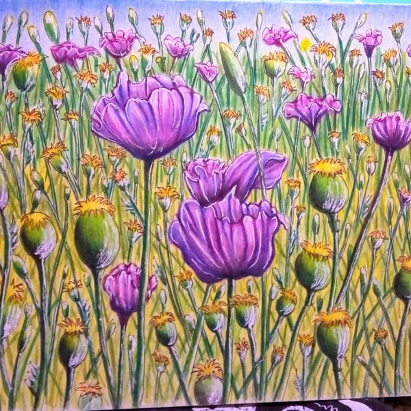 Original Beautiful Pink Poppy Field Drawing Art - Folksy
