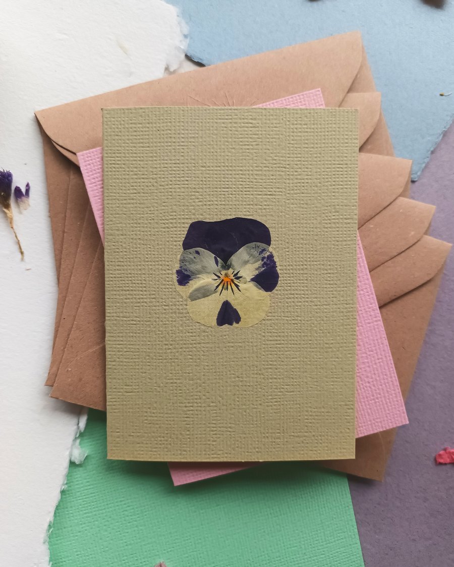 Real Pressed Viola Flower Greeting Card. Congra... - Folksy
