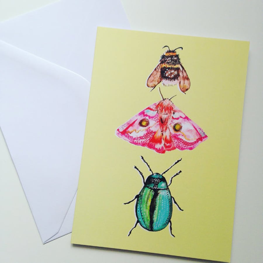 Butterfly and Beetle Card of my own illustratio... - Folksy