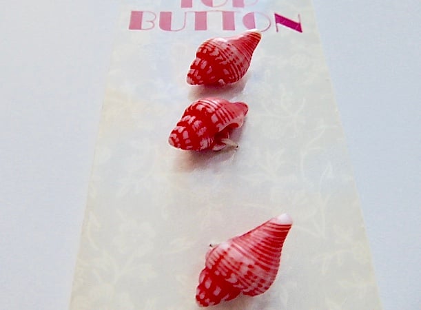 Shell buttons, vintage buttons, - Folksy