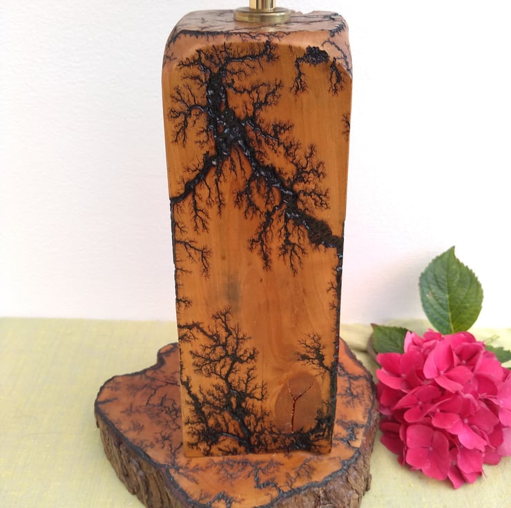 'Tulip' - Wooden Live Edge Table Lamp - Folksy