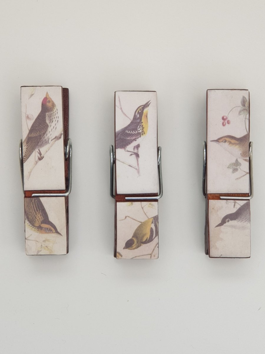 Bird Fridge Magnets, magnetic pegs, decoupaged ... - Folksy