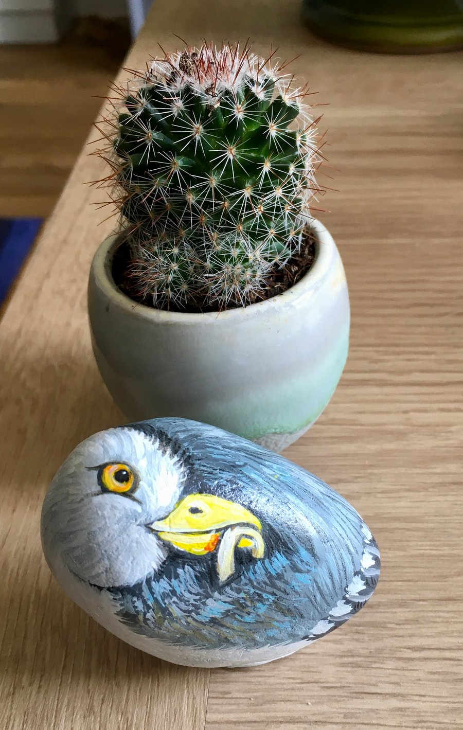 Seagull hand painted pebble bird wildlife portr... - Folksy