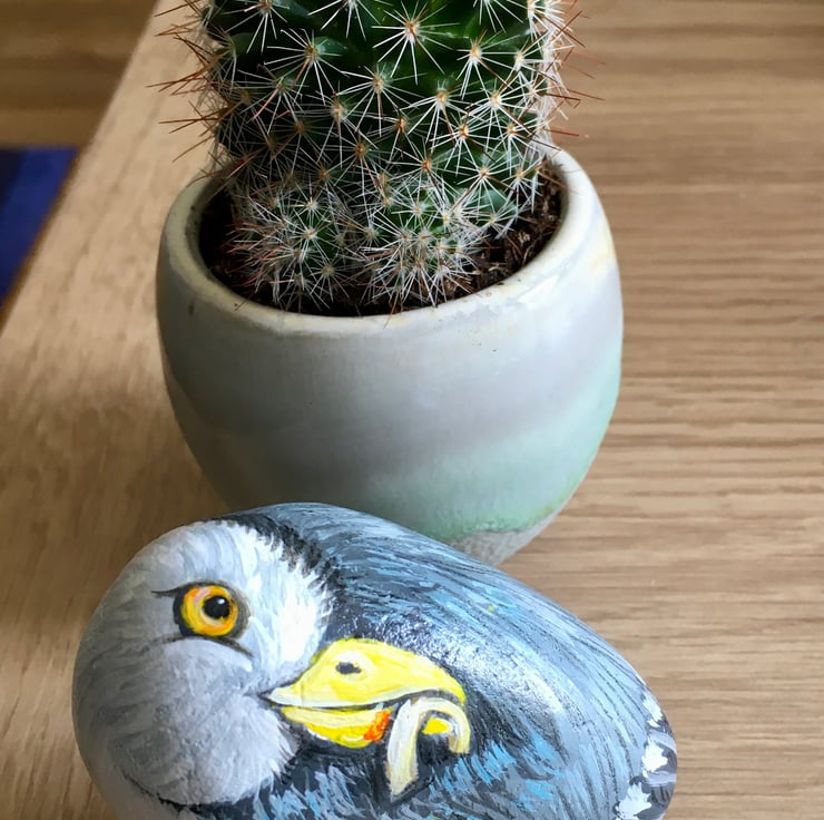 Seagull hand painted pebble bird wildlife portr... - Folksy