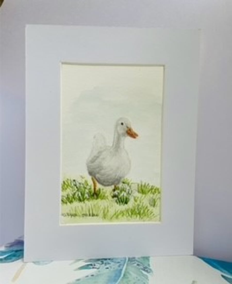 Little White Duck Print - Folksy