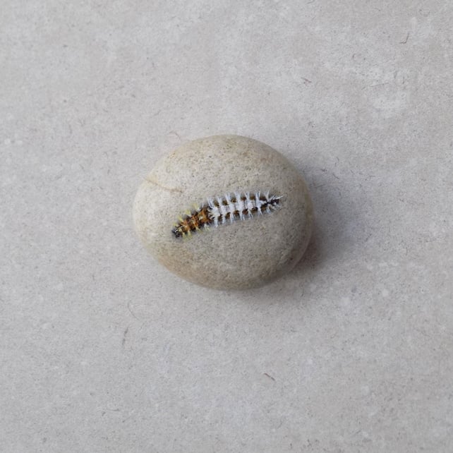 Painted Stone 'Comma Butterfly Caterpillar' - Folksy