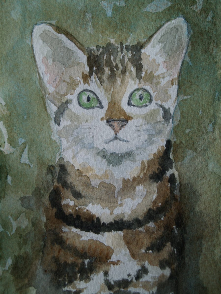 Kitten original watercolour postcard - Folksy