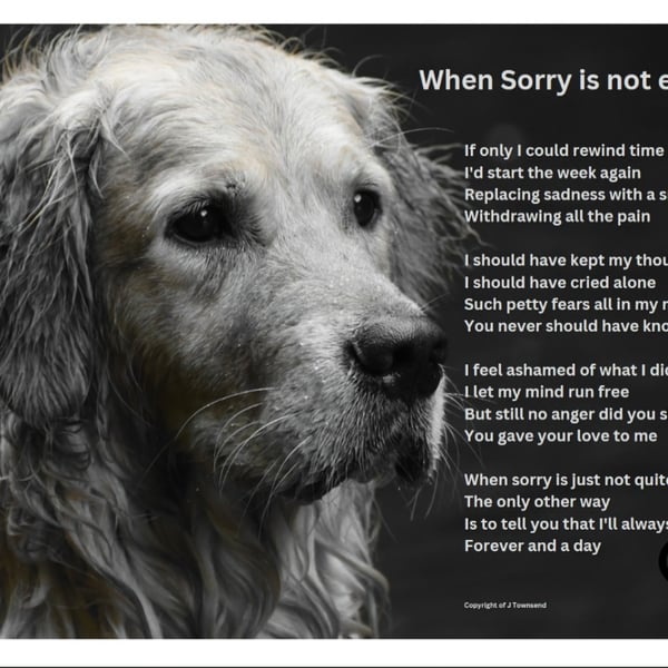 Sorry - An original poem about saying sorry - d... - Folksy