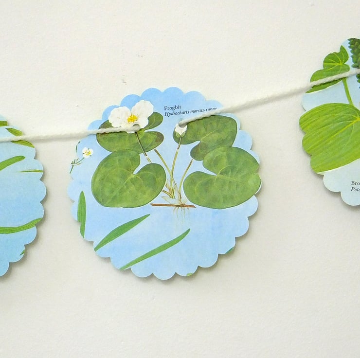 Botanical Bunting - Folksy