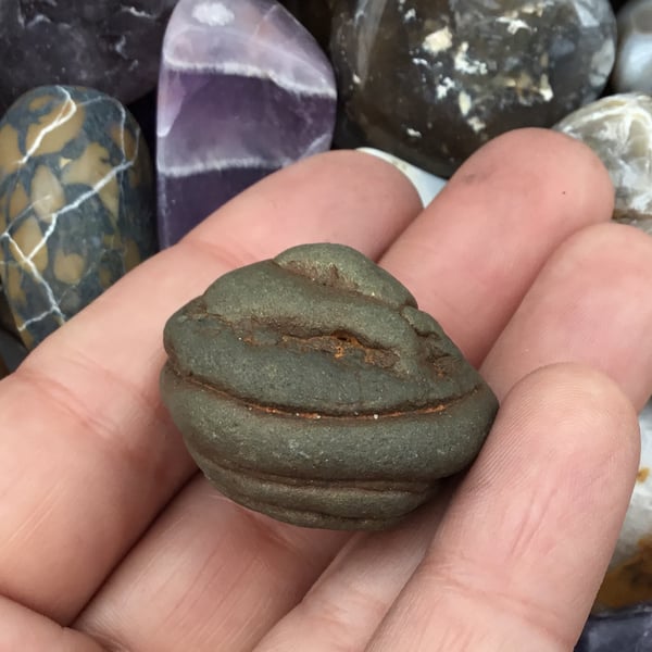 Ancient Coprolite Specimen! Pyrite Coprolite F... - Folksy