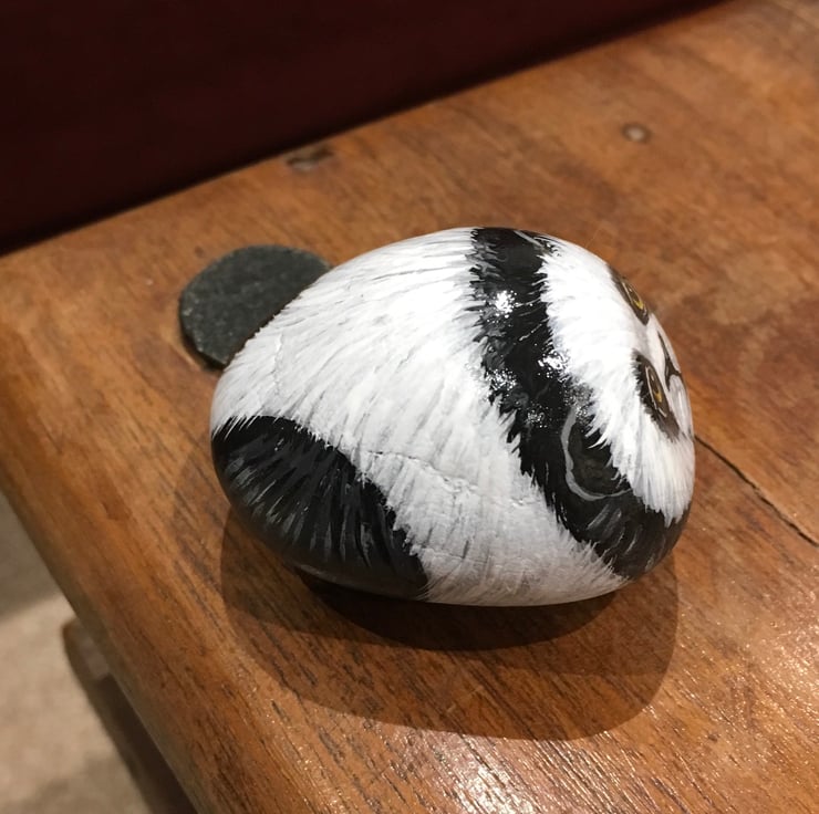 Panda hand painted pebble garden rock art wildl... - Folksy
