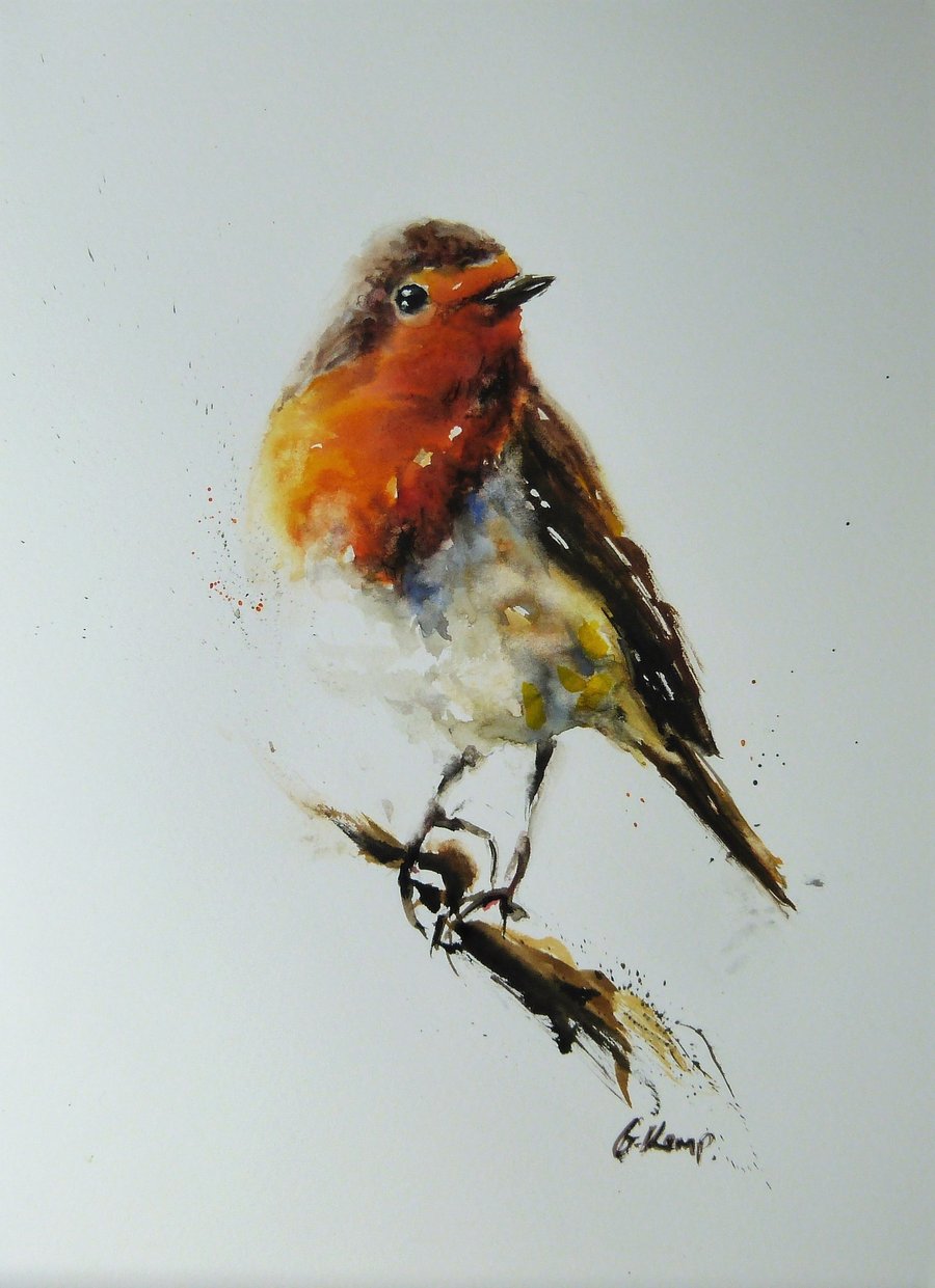 Robin, Original Watercolour Painting. - Folksy