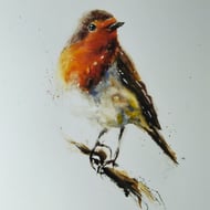 Robin, Original Watercolour Painting. - Folksy