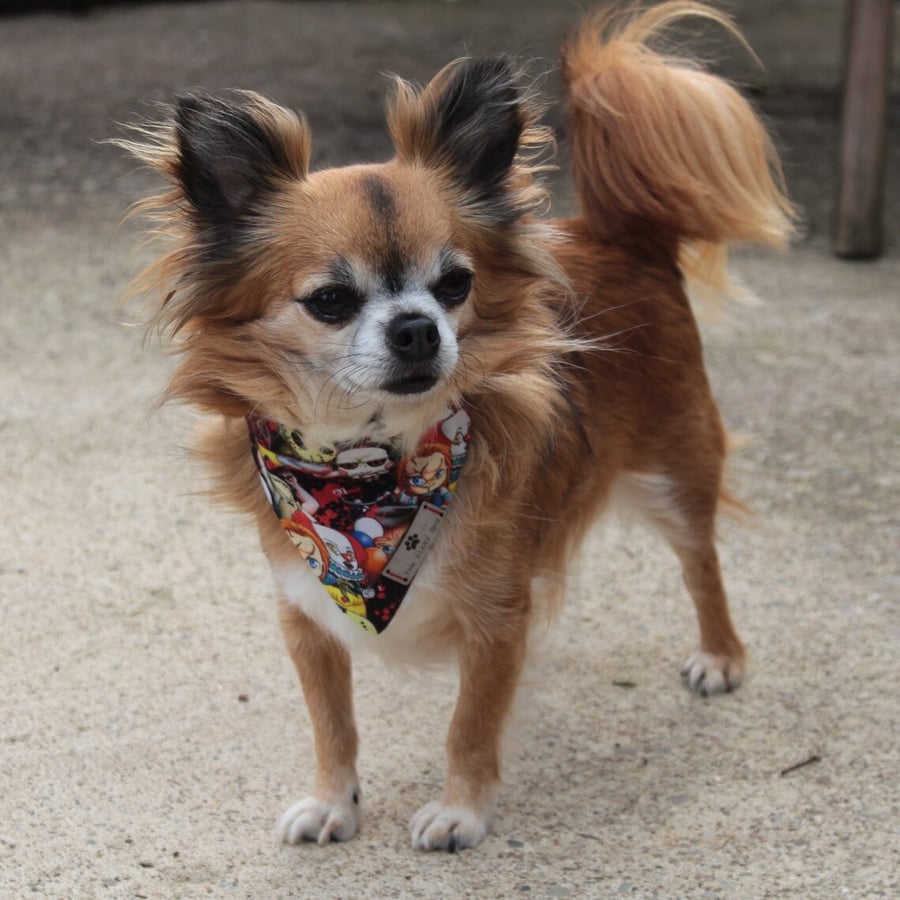 Horror dog bandana - Folksy