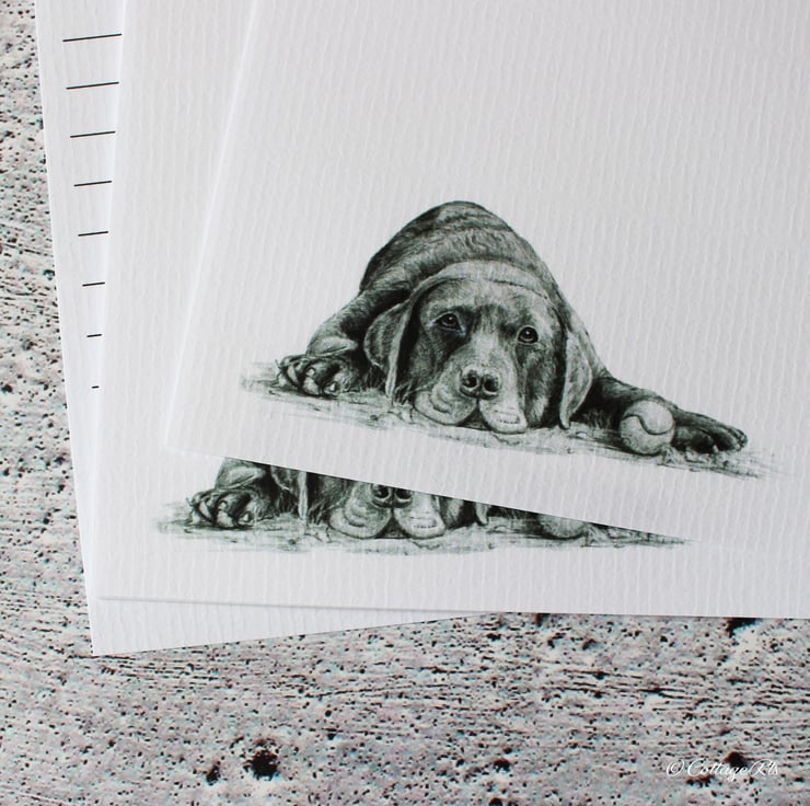 Letter Writing Paper With Labrador Design By Co... - Folksy
