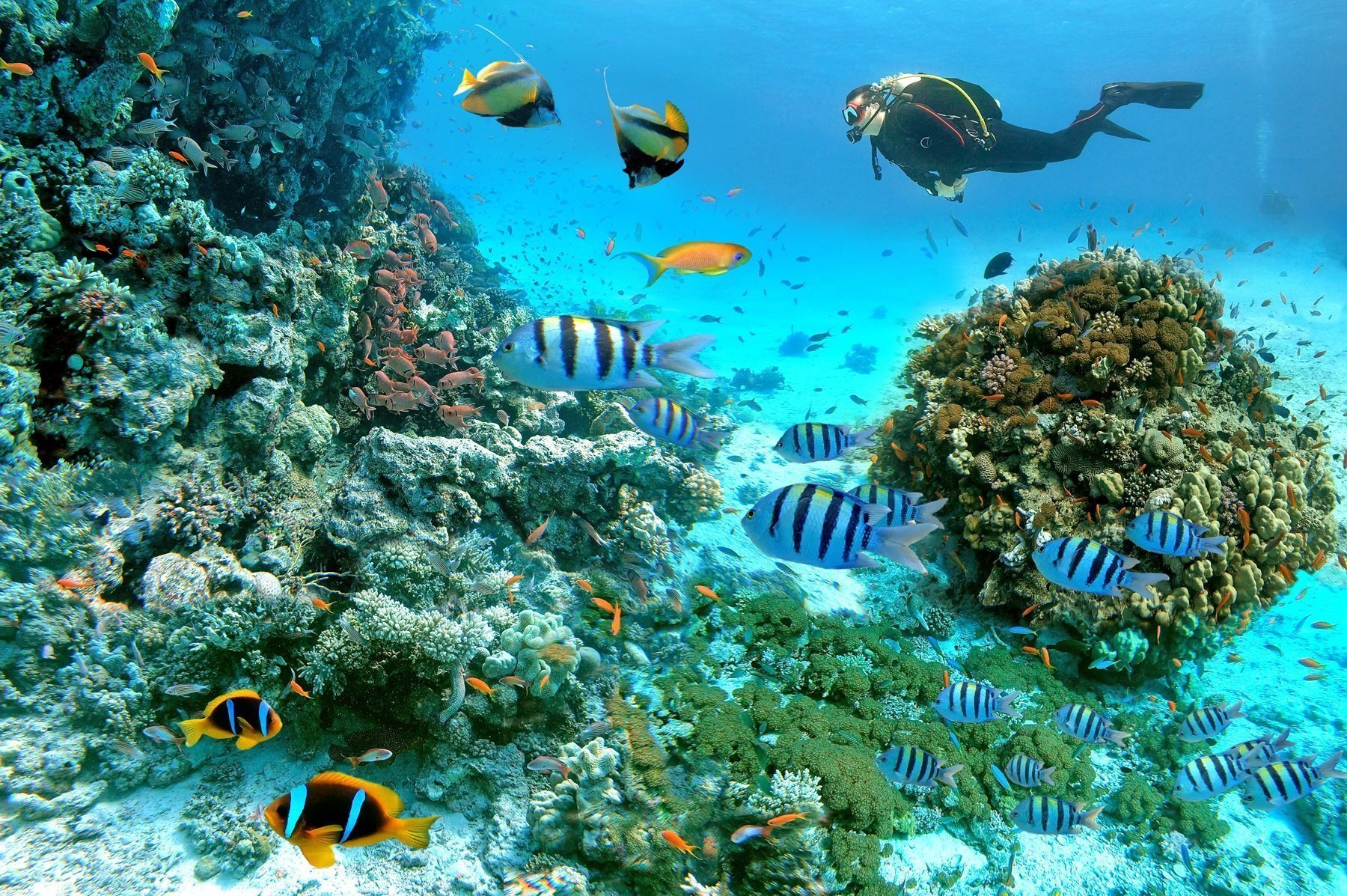 15 Day Egypt Tour Package – Cairo, Luxor, Aswan & Hurghada - Tourist ...
