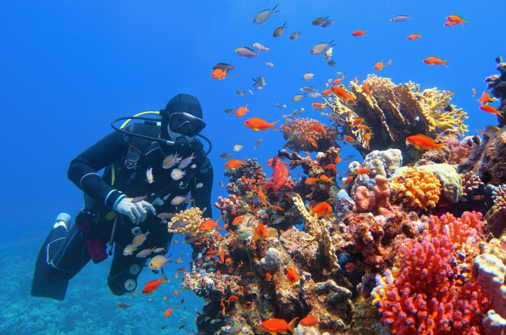 5 Day Hurghada Tour Package - Tourist Egypt - Discover Egypt