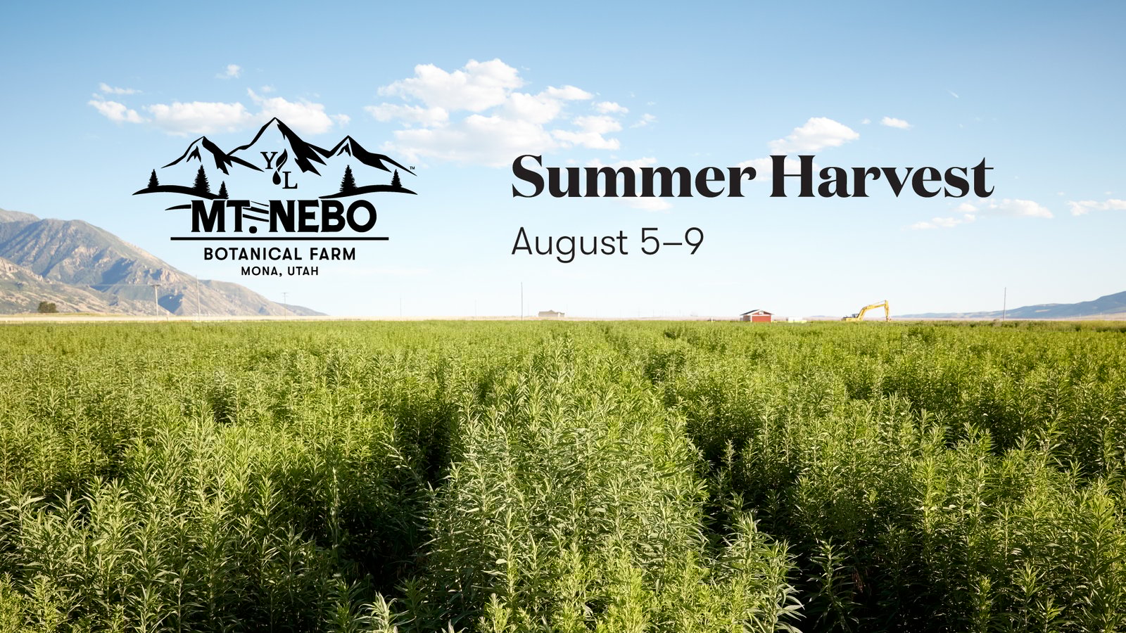 2024 Mt Nebo Botanical Farm Summer Harvest