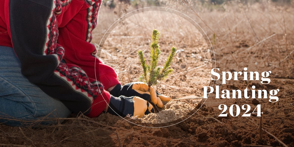 2024 Spring Planting at Highland Flats & St. Maries Farm