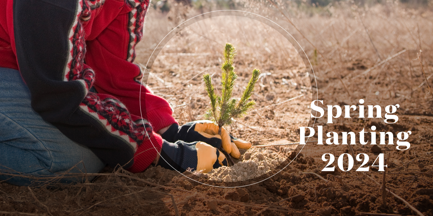 2024 Spring Planting at Highland Flats & St. Maries Farm