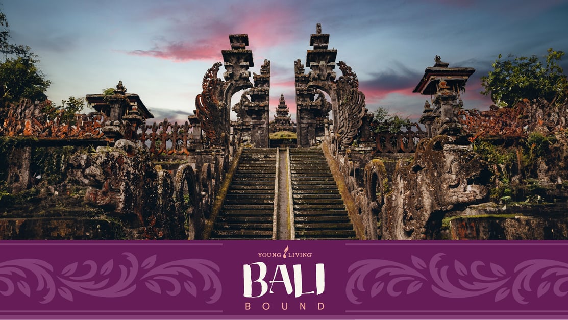 2025 Bali Bound Incentive Trip
