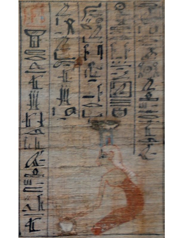 Nephtys | Histophile