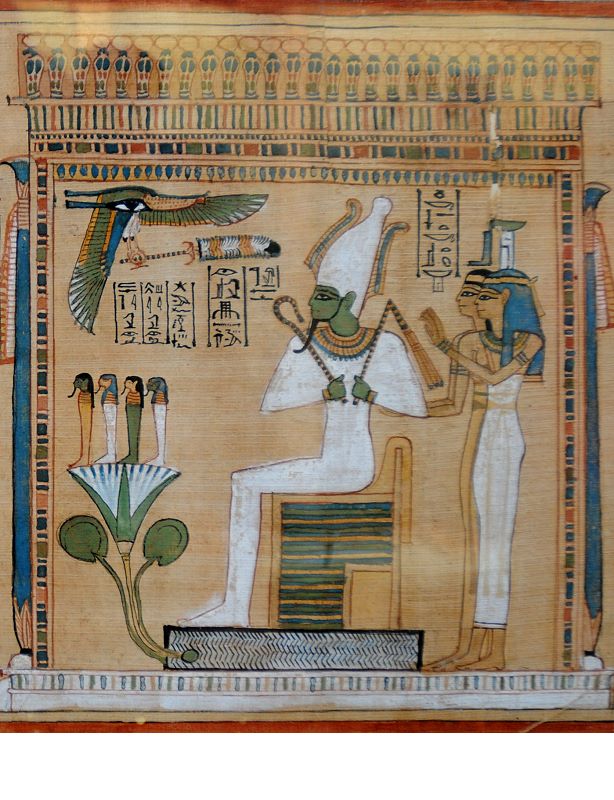 Nephtys | Histophile