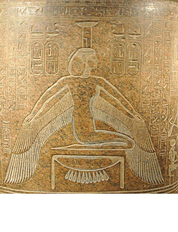 Nephtys | Histophile