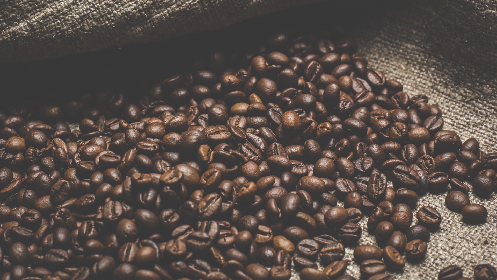 Mengenal 5 Macam Jenis Biji Kopi Robusta di Indonesia